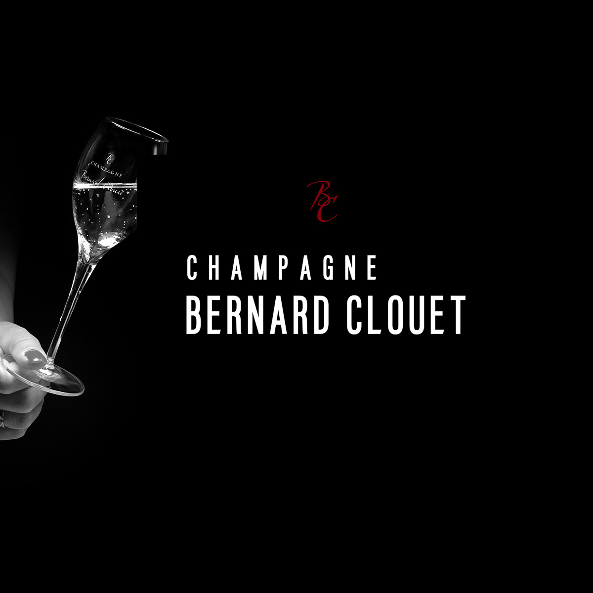 Producteur de champagne, visites de cave et dégustations, vente directe ...